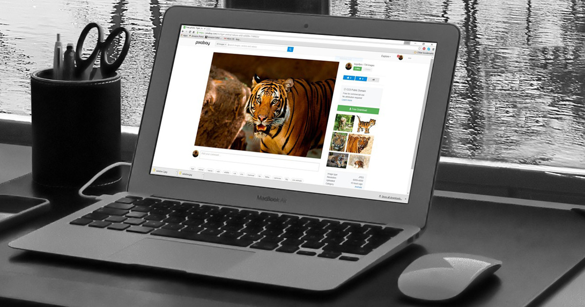 GIMP Animation Package 2.9.8 Free Download, Linux | IceWalkers